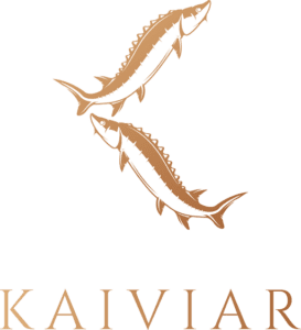 The Harmonious Pairing of Caviar and Wagyu - Kaiviar